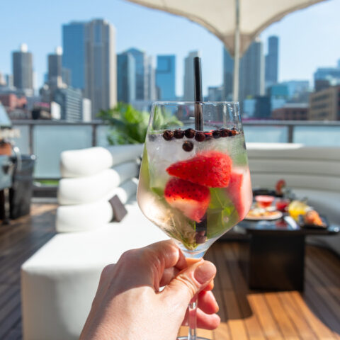 I|O Godfrey | Rooftops in Chicago